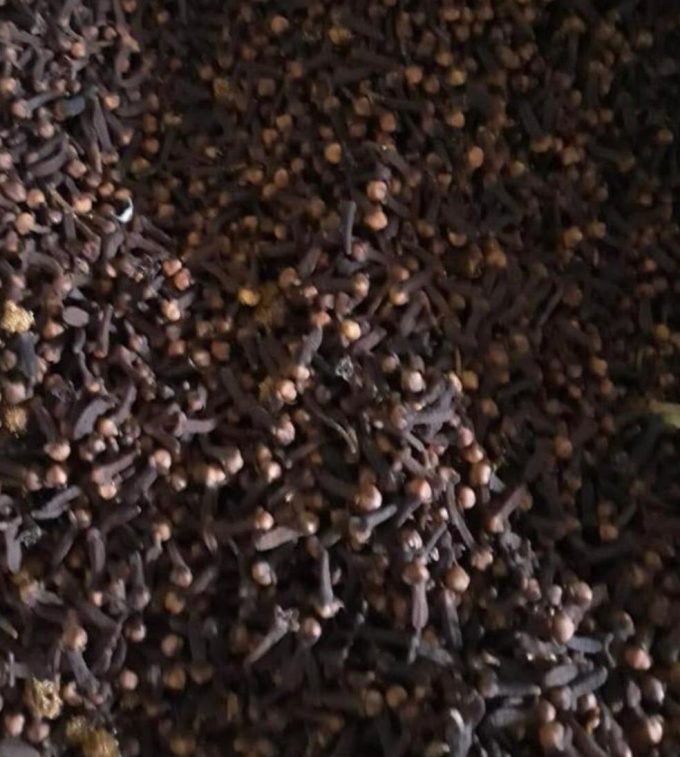 Five Different Types Of Charcoal And Their Properties - Linta Serath ...