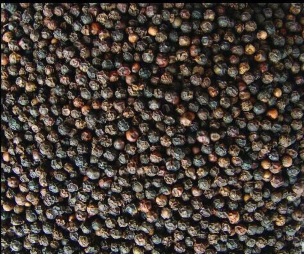 Black Pepper Suppliers, Manufacturers, Wholesalers and Exporters ...